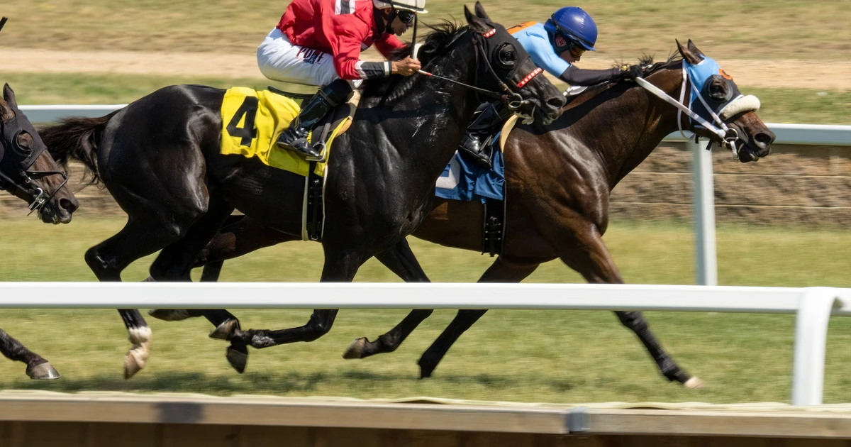 Box Trifecta - How To Place Winning Bets