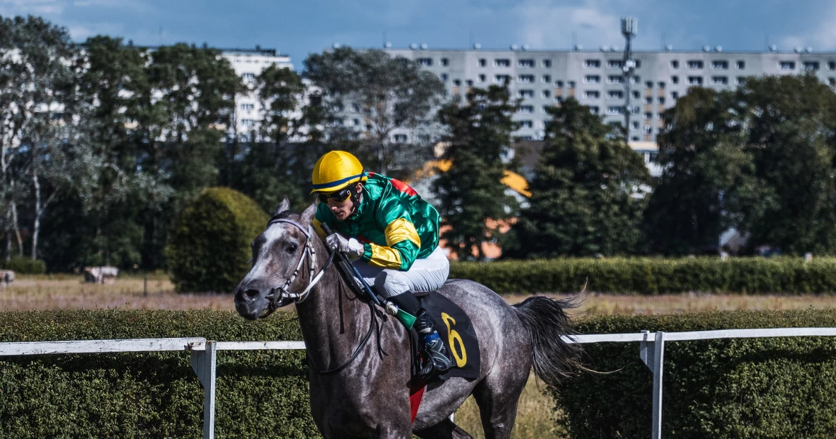 What Is A Boxed Trifecta? Unlocking The Thrills And Rewards Of This ...